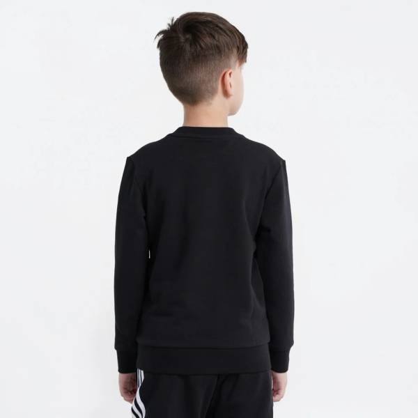 ADIDAS LITTLE KIDS ADICOLOR CREW SET - H25250